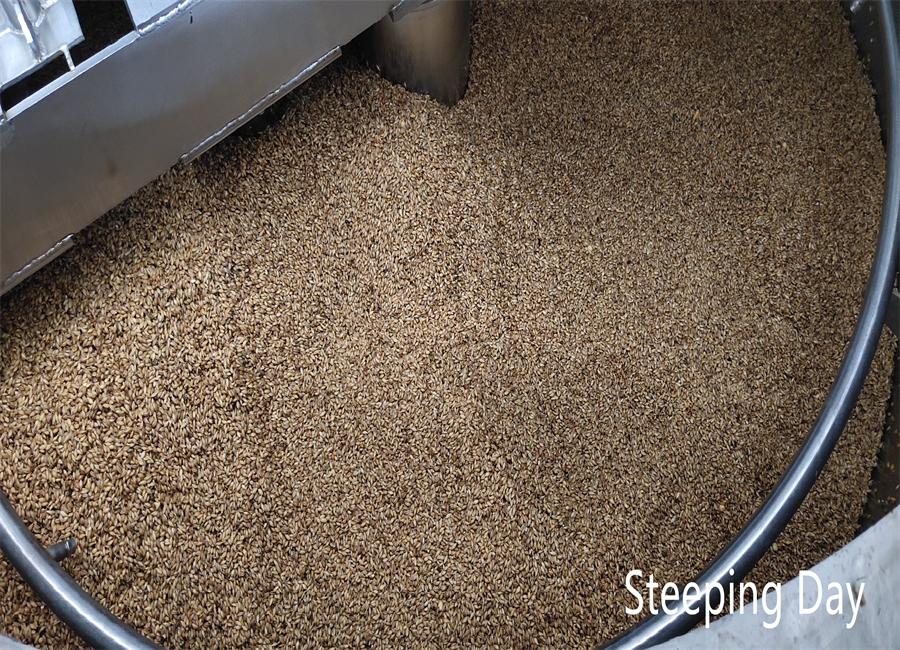 Shipping of 1Ton Tank Malting System to Japan Brewery - Laizhou Yingtai ...